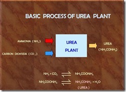 Fertilizer Industry: General Process of Urea Production